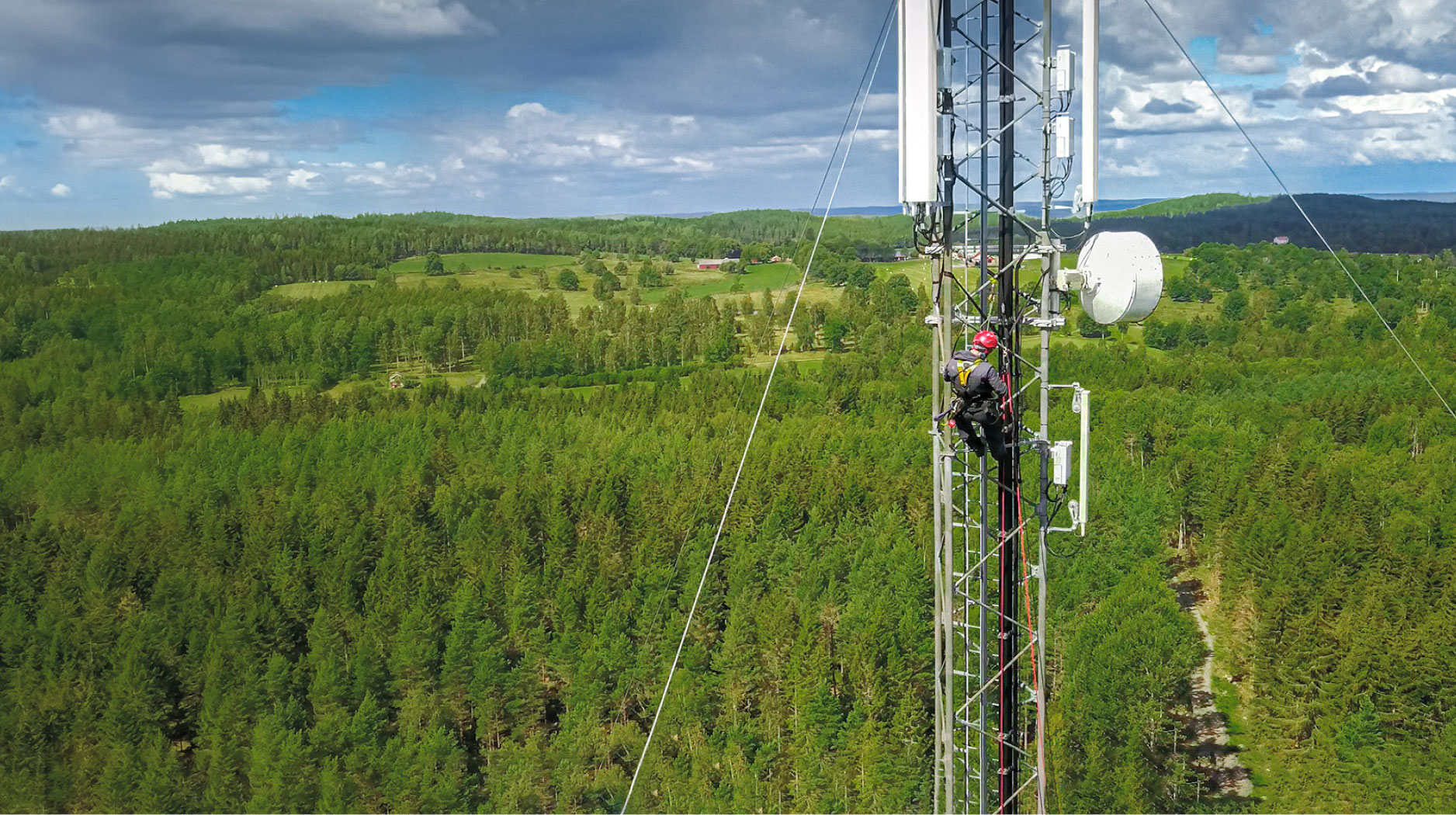 Who is Viking Italy TLC operator?